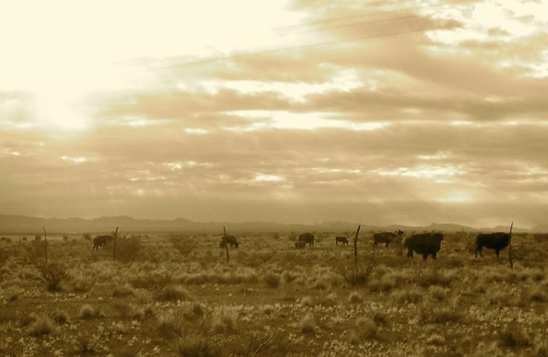 Movie Locations: Make a Film in Remote Engle New Mexico